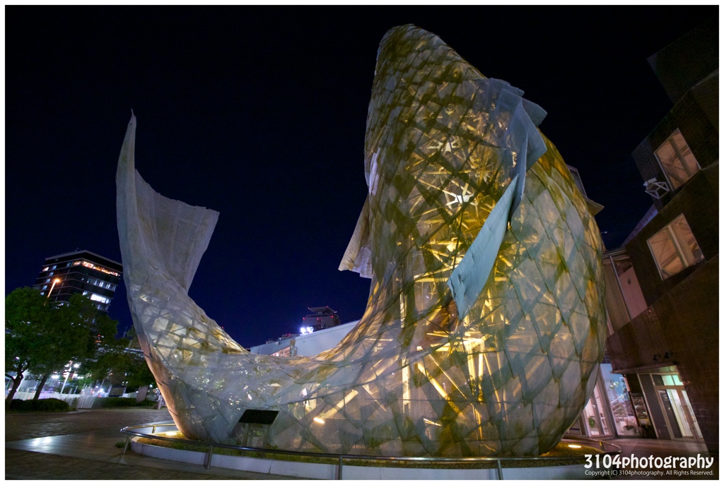 FISH DANCE by Kevin Owens （ID：2133063） - 写真共有サイト:PHOTOHITO