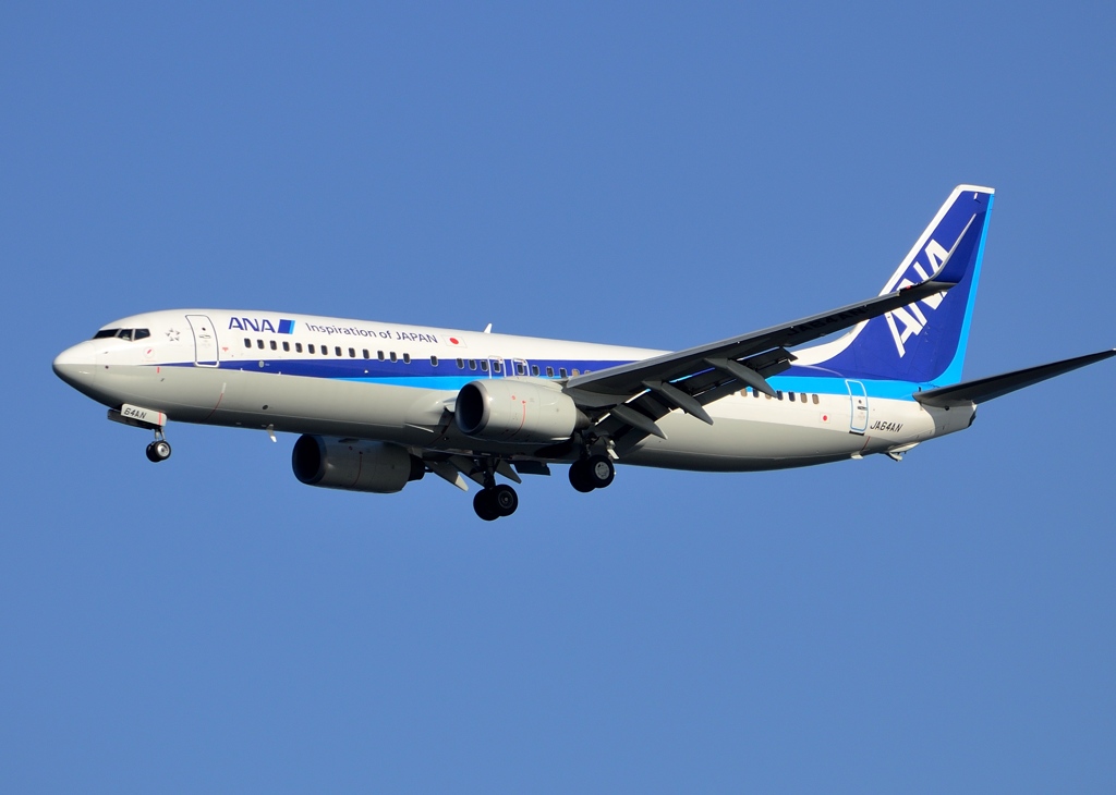 ANA B737-800 （新ロゴ） by bluesky05 （ID：2848904） - 写真共有サイト:PHOTOHITO